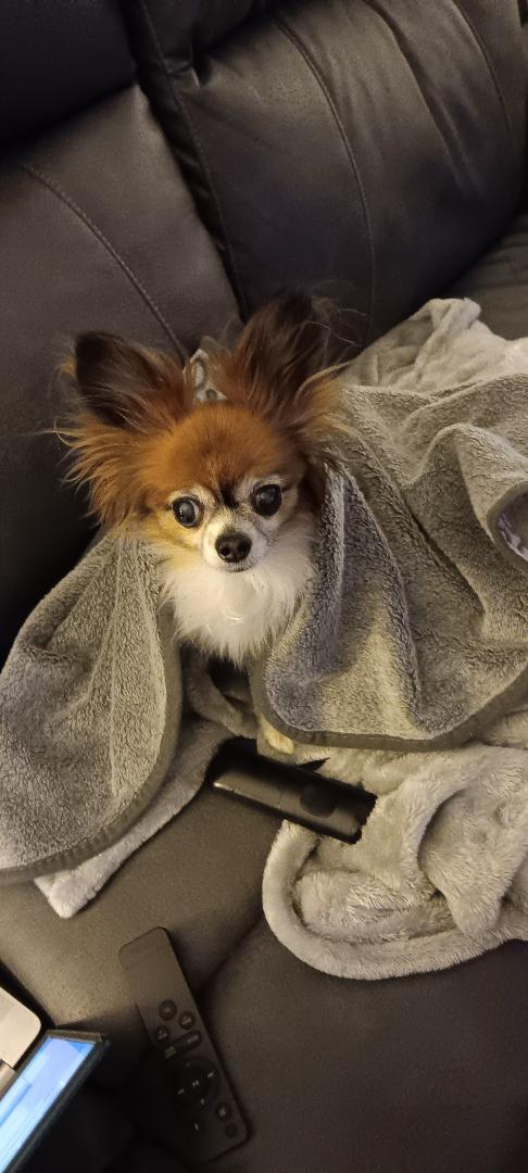 Letter to Pushkin - a letter from Jon to coco